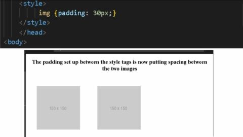The 2 Best Ways to Display Images Side by Side in HTML