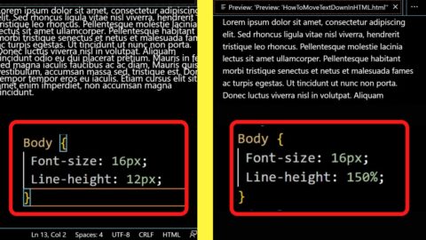How to Move Text Up and Down in HTML — All You Need to Know