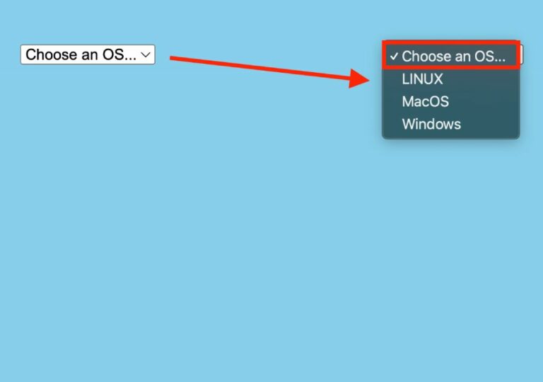 Make a Placeholder for a "Select" Box — 3 Best Ways