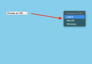 Make a Placeholder for a "Select" Box — 3 Best Ways